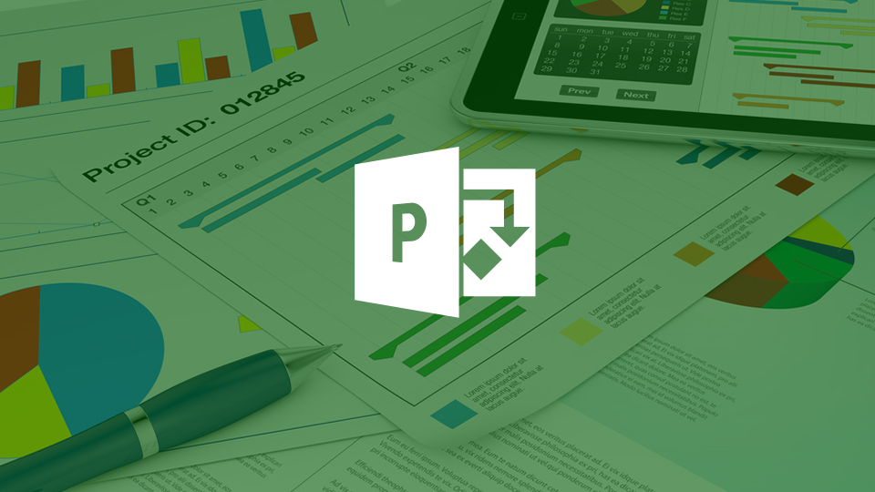 Microsoft Project 2016 For Beginners: Master the Essentials | StackSki